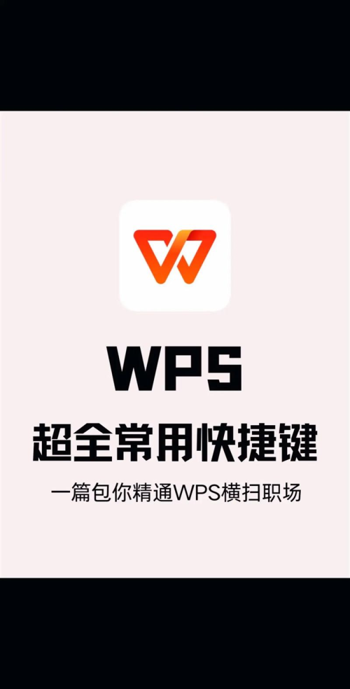 wps 开发者(wps开发者平台)